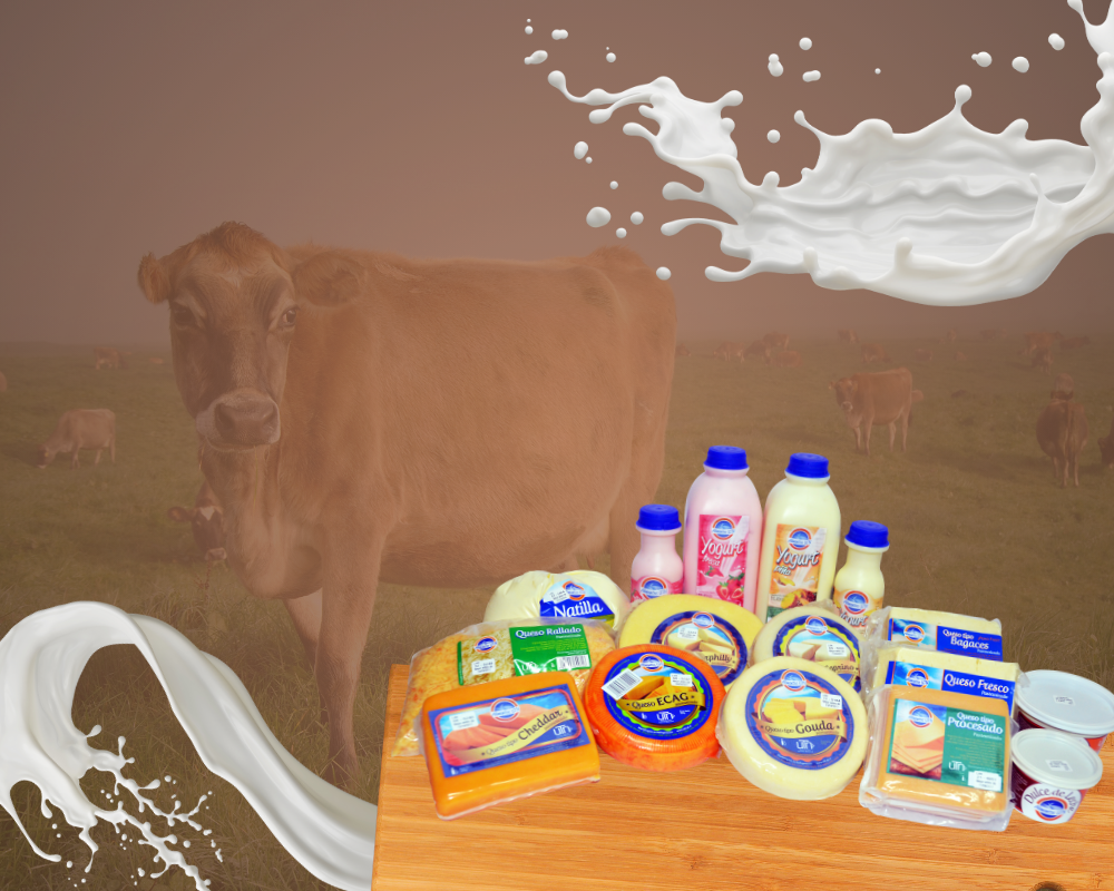 De la teoría a la práctica: La Planta de Alimentos UTN, un modelo de ...